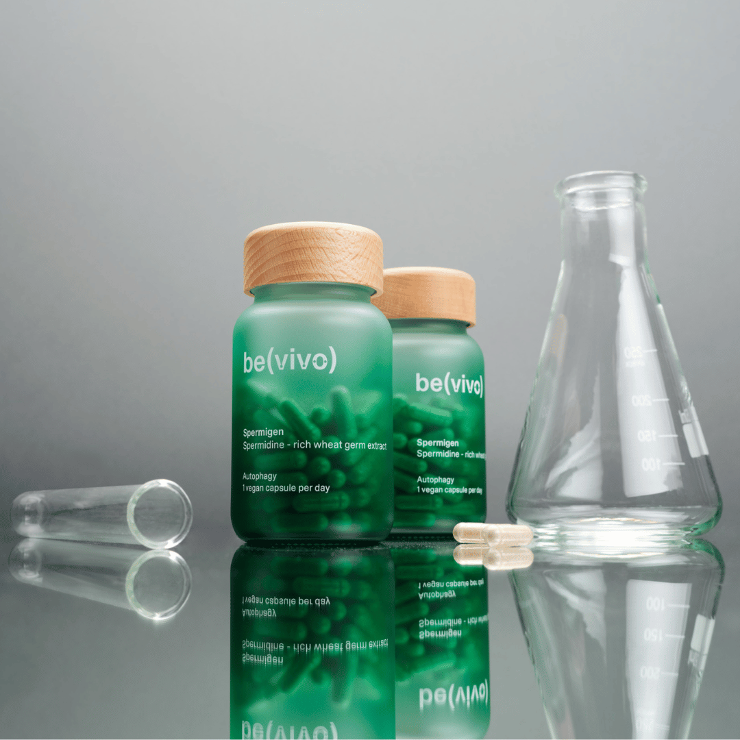 Hvordan kan spermidin bidra til sunn aldring og vitalitet?